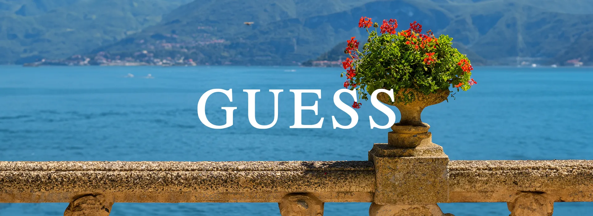Guess – FrontierCo Vision